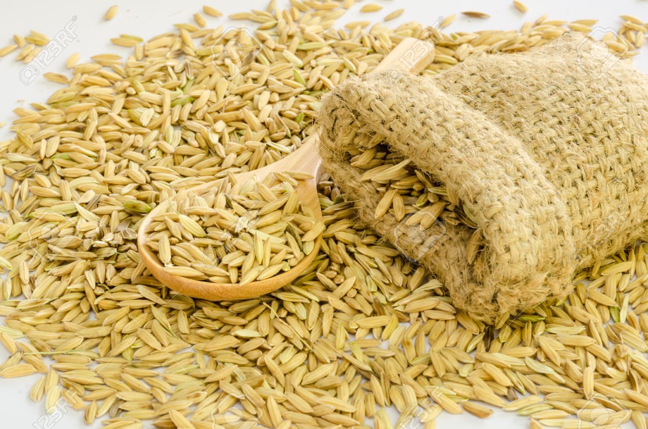 Products – BSS Foods & Spices PVT. LTD. | Yellow Maize Seeds | Paddy PR ...
